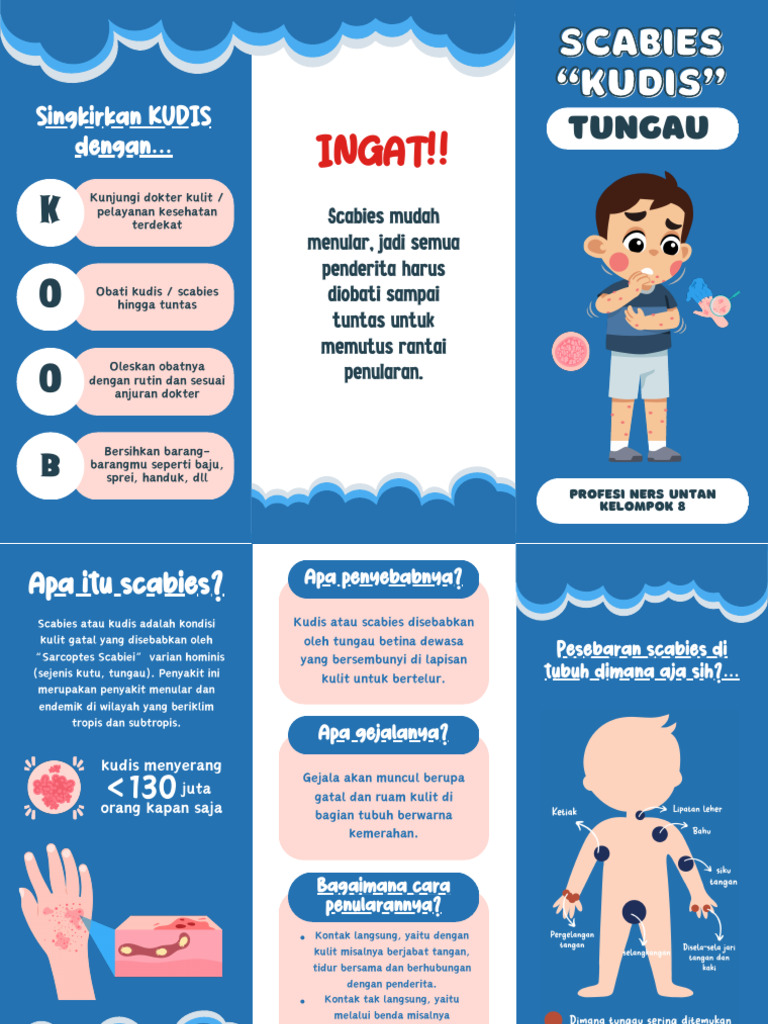 Leaflet Scabies | PDF