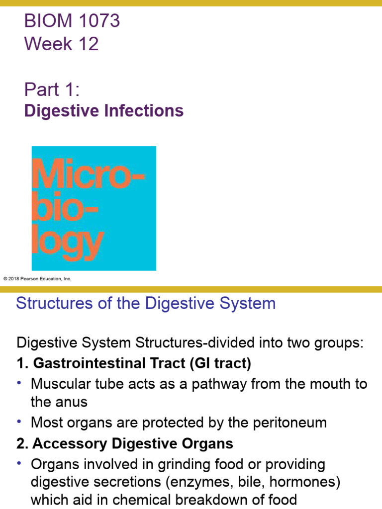 BIOM 1073 Week 12 Part 1-Digestive Infections | PDF | Human Digestive System | Salmonella