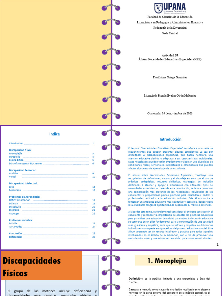 Album Necesidades Educativas Especiales NEE | PDF | Aprendizaje ... Album Necesidades Educativas Especiales NEE | PDF | Aprendizaje ...