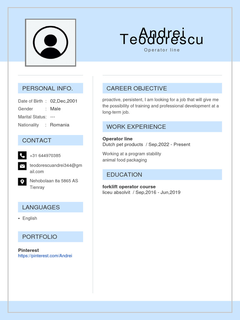 Andrei Teodorescu | PDF