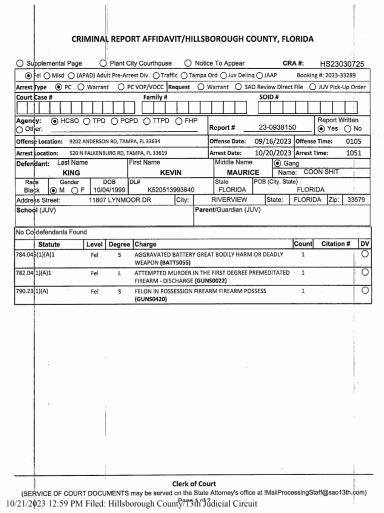 Criminal Report Affidavit Filed 2b7ff8d4 389c 4dad A3c4 0e51e10ad187 ...