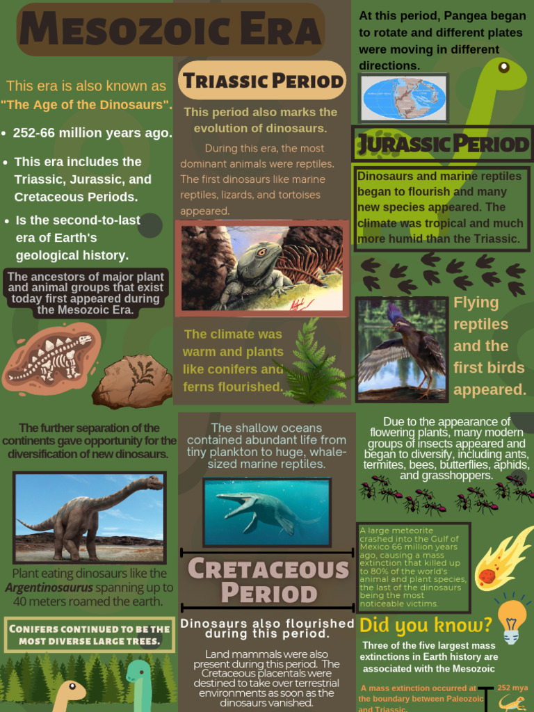 Mesozoic Era Brochure | Download Free PDF | Dinosaurs | Earth Sciences