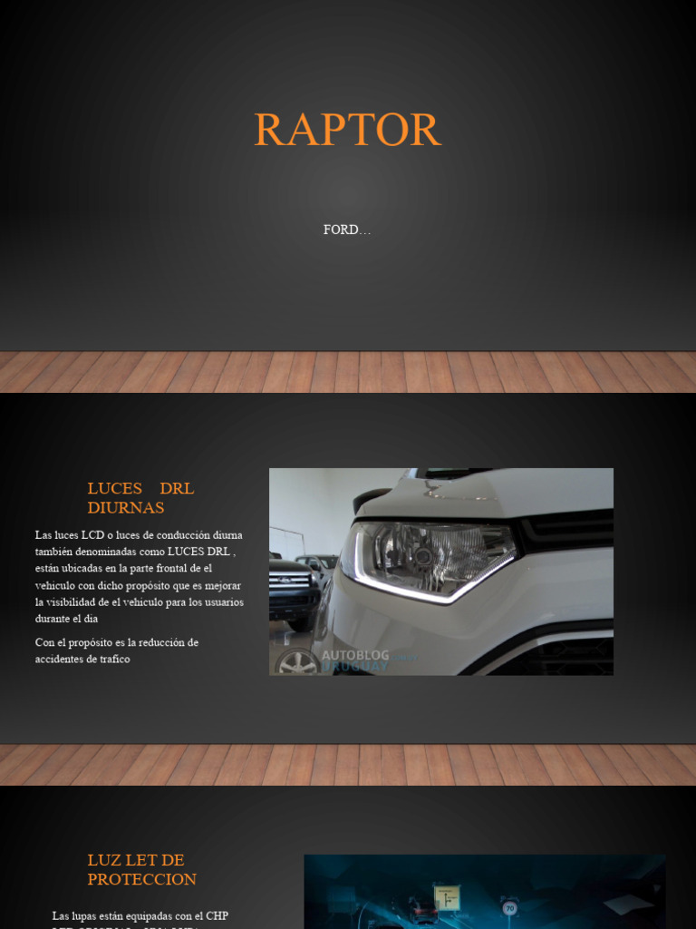 Raptor | PDF