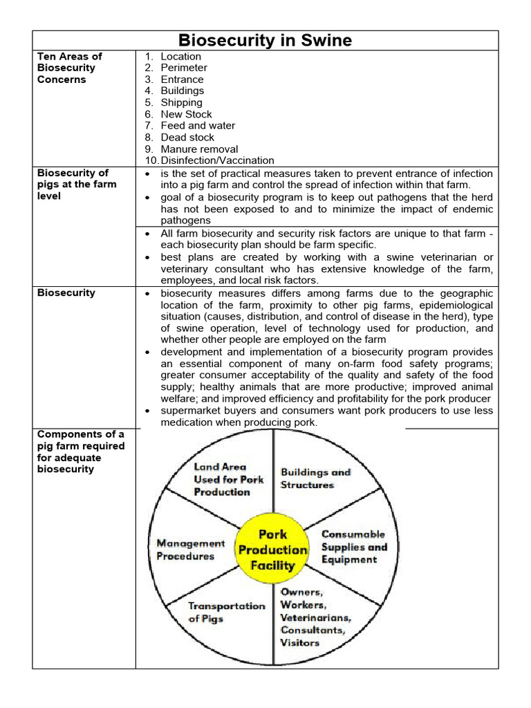 Biosecurity in Swine | PDF | Pig | Infection