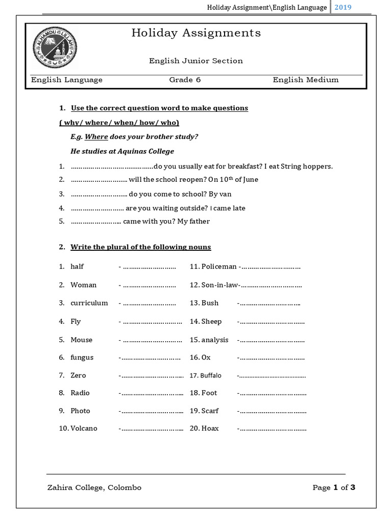 Grade 6 English Language Holiday Assignment | PDF | English Language ...