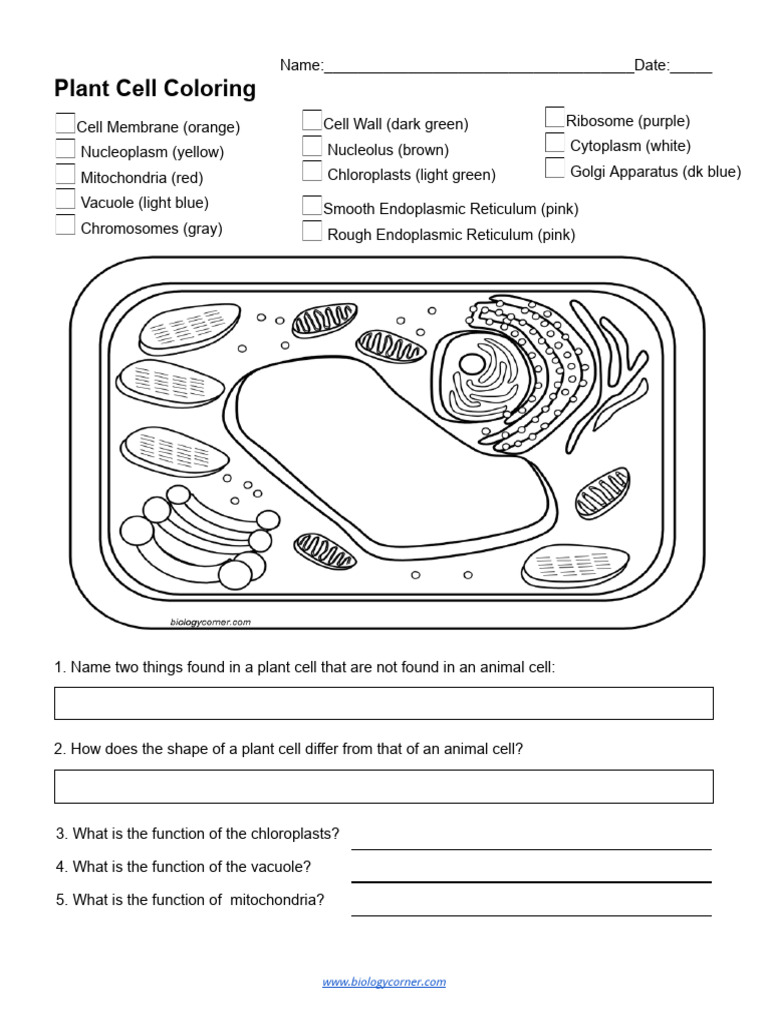 Animal And Plant Cell Coloring Worksheets