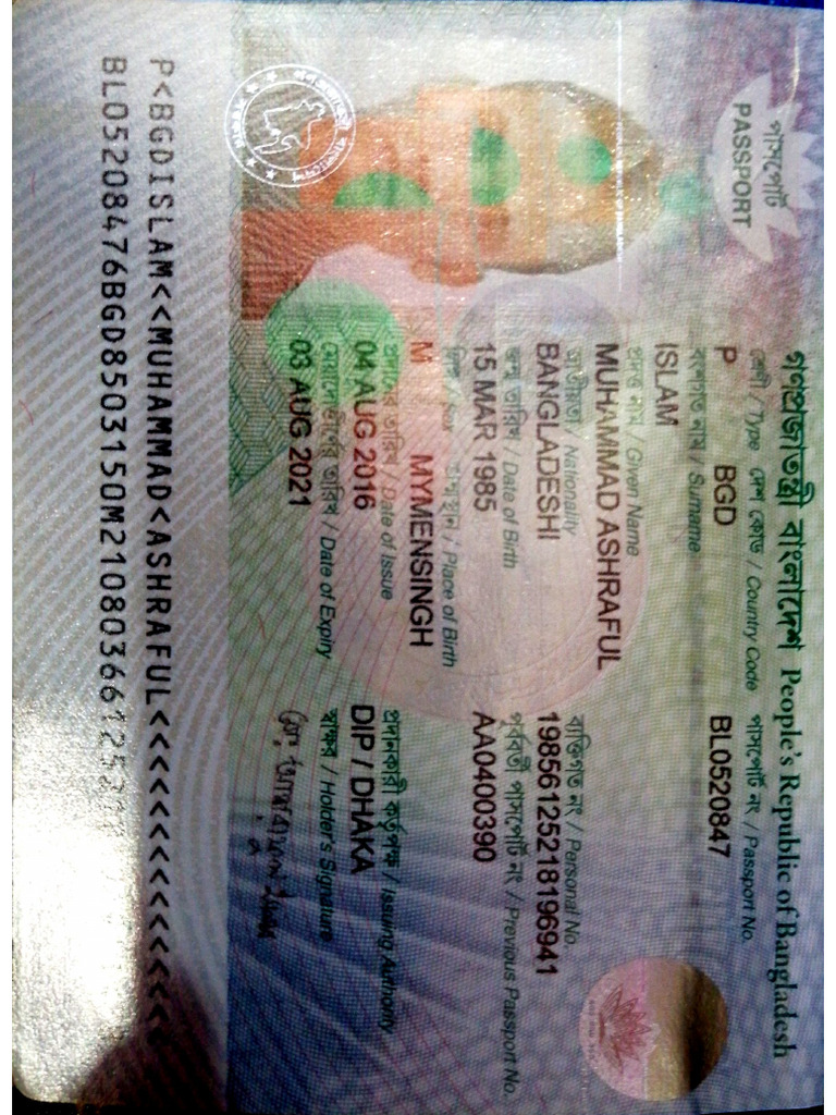 Old Passport | PDF