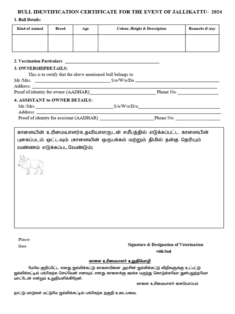 Bull Identification - 2024 | PDF