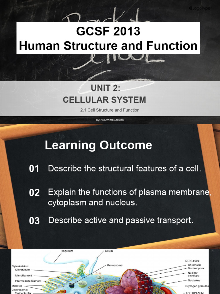 2.1 Cell Structure and Function | PDF | Cell Membrane | Cell (Biology)