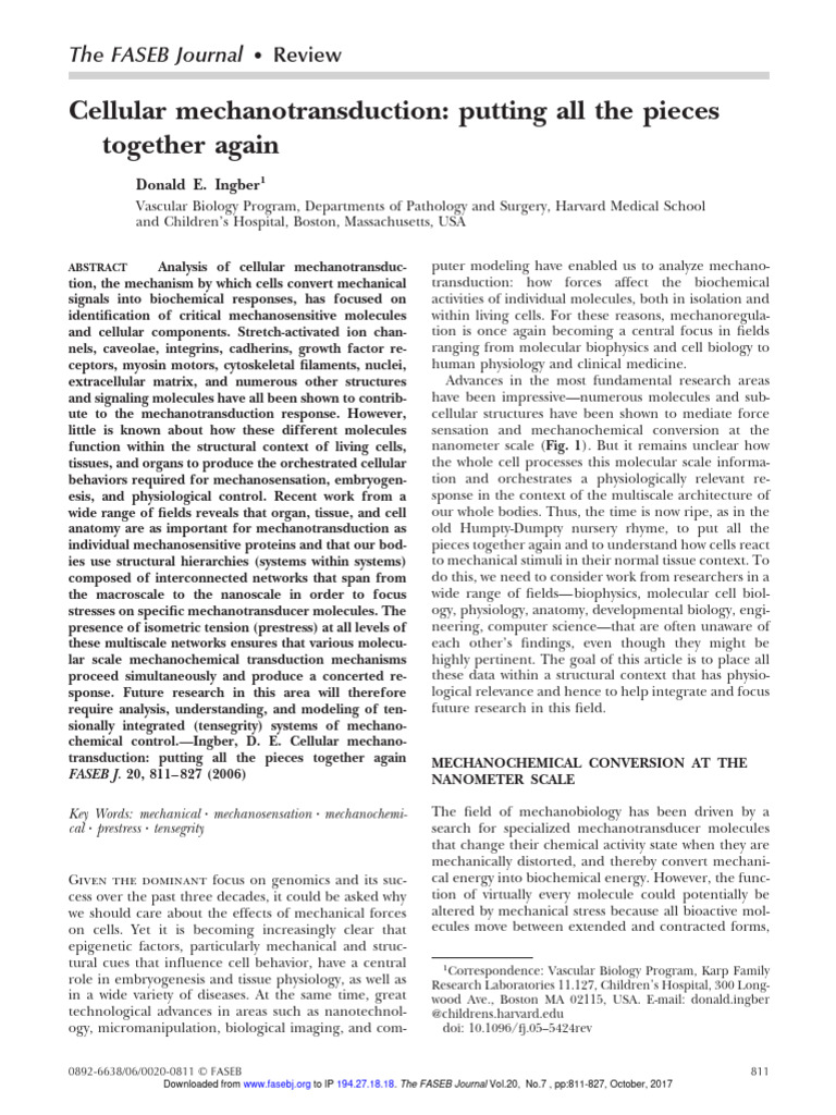 Mechanotransduction in Cellular Biology | PDF | Cytoskeleton ...