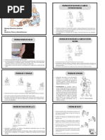 Pruebas Ortopédicas: Signos de Lasègue y Bragard | PDF | Rodilla | Codo