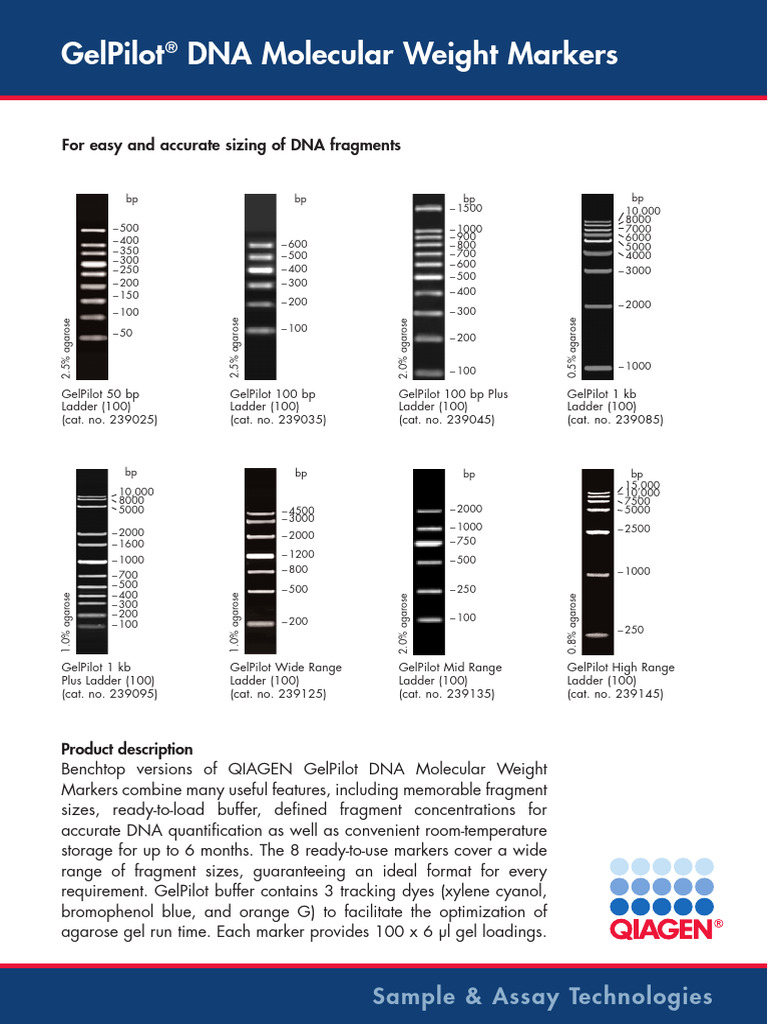 EN GelPilot DNA Molecular Weight Markers | PDF | Agarose Gel ...