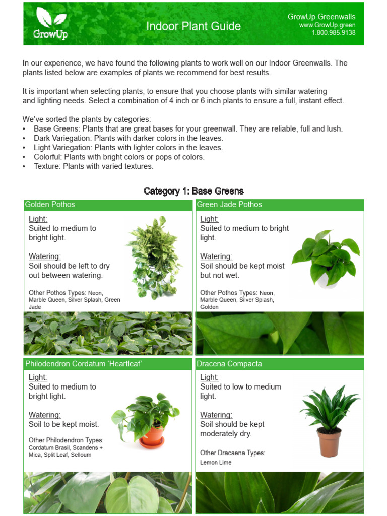 Indoor Plant Guide | PDF | Botany | Plants