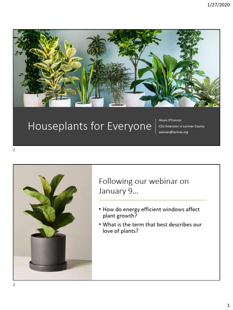 Houseplants For Everyone Handouts Pdf