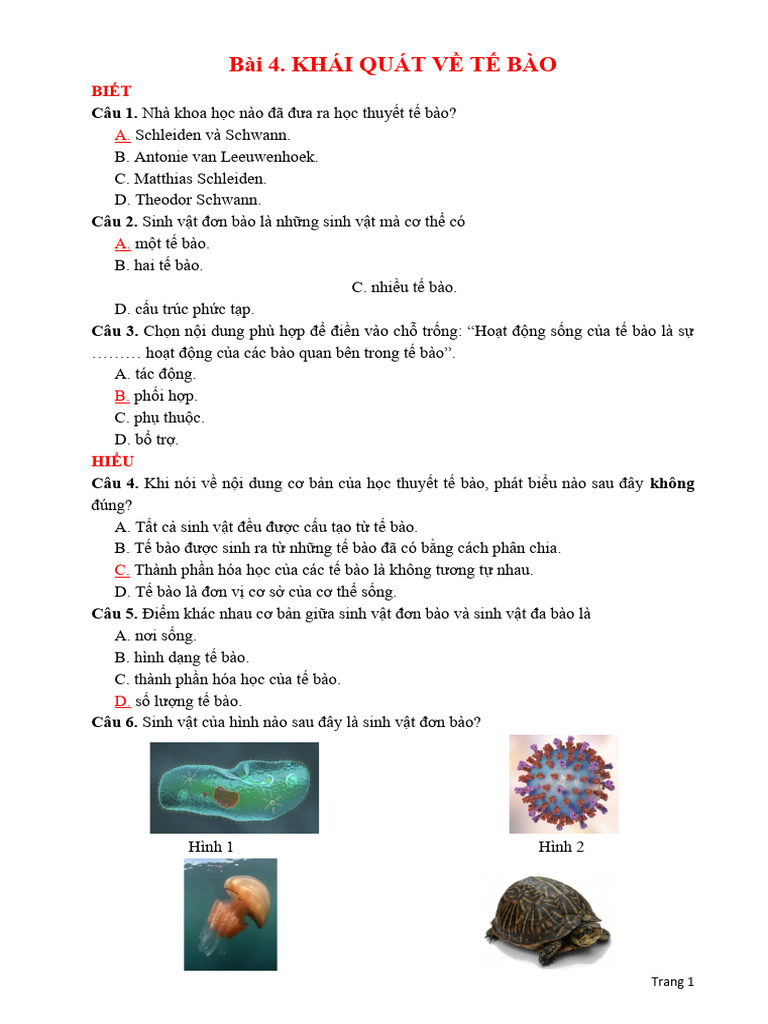 Trắc Nghiệm Sinh 10 -CTST | PDF