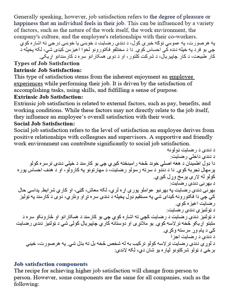 JOb Satisfaction | PDF