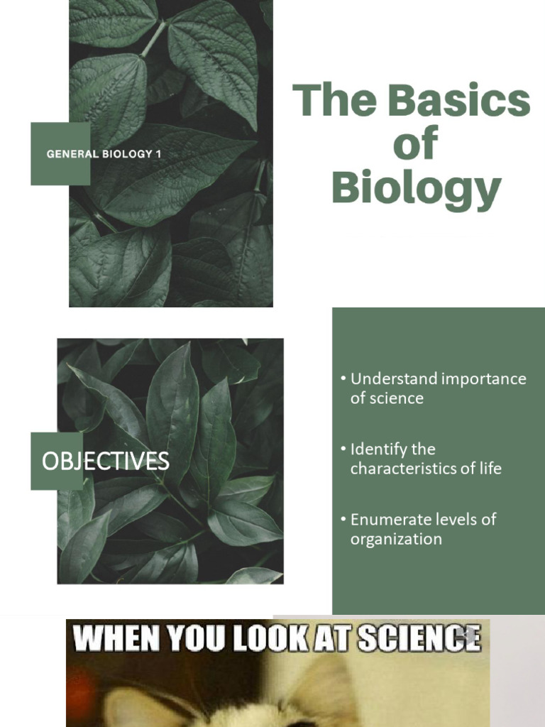 Lesson 1 - The Basics of Biology | PDF