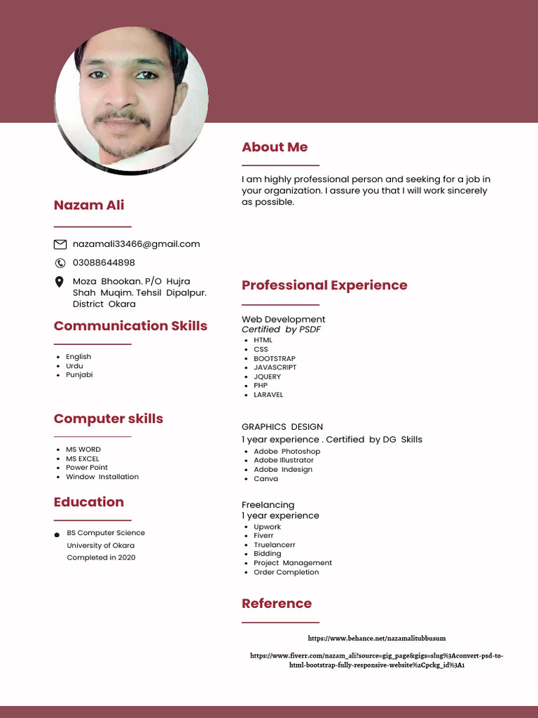 Nazam Ali CV | PDF