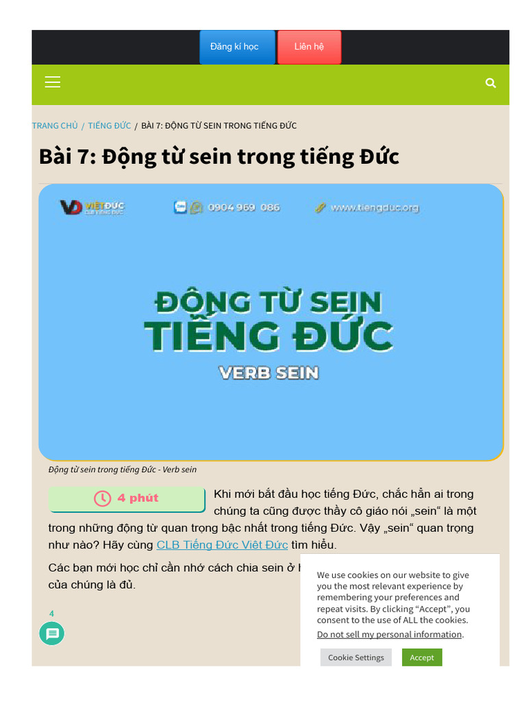 Dong Tu Sein Trong Tieng Duc | PDF