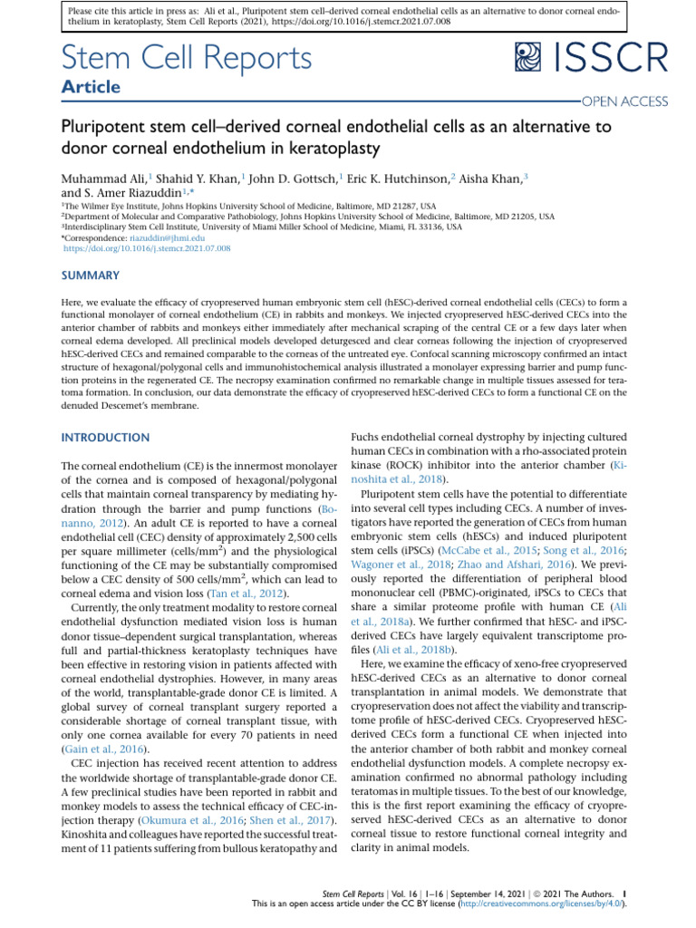 Pluripotent Stem Cell-Derived Corneal Endothelial Cells | PDF | Cornea | Anatomy