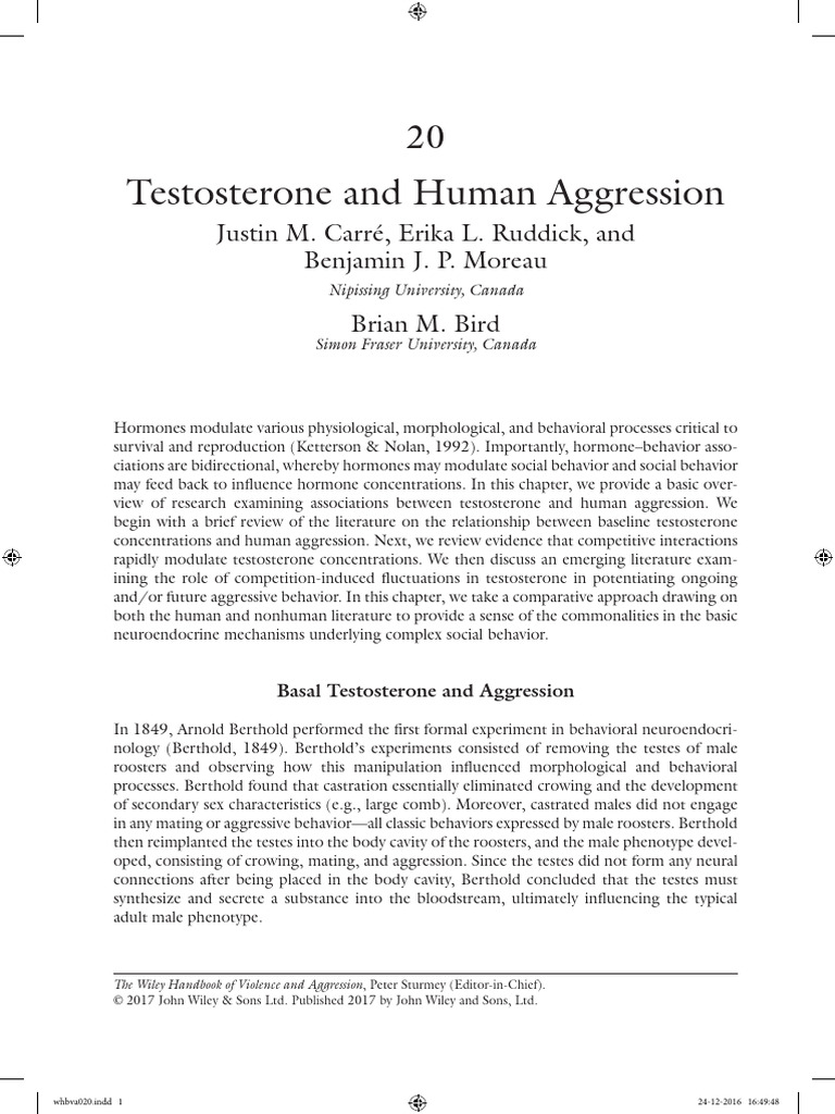Testosterone and Human Agression | PDF | Aggression | Testosterone