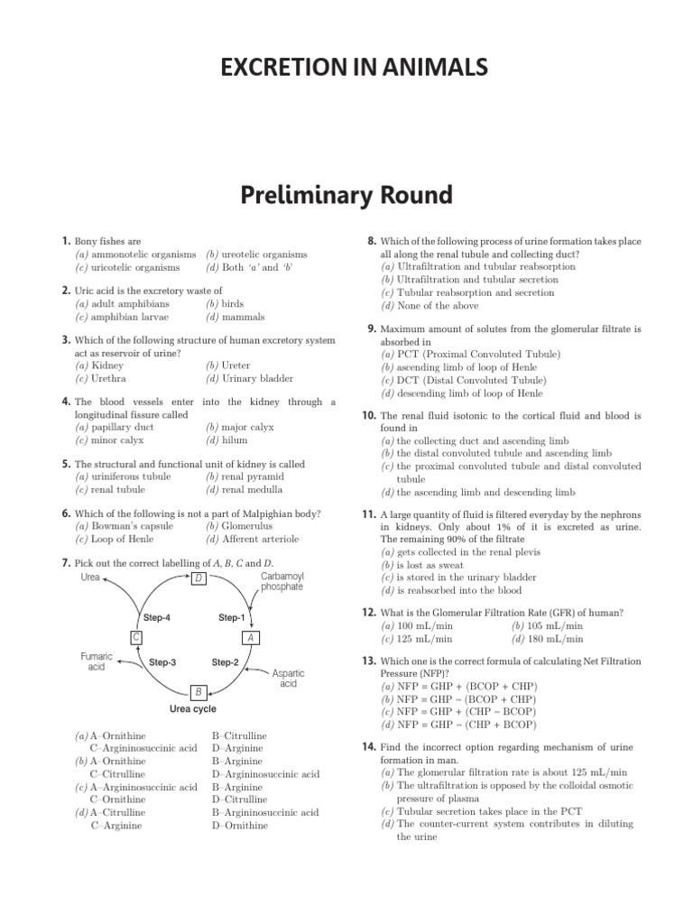 Module - 7 - Zoology - Worksheet | PDF | Kidney | Animal Anatomy