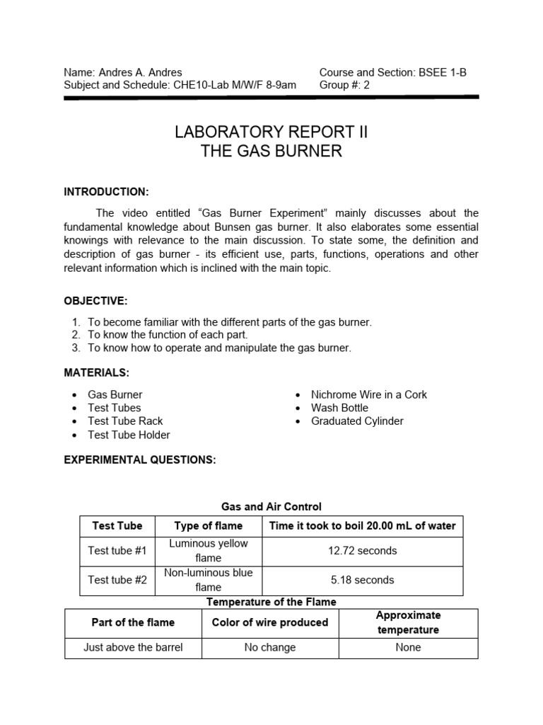 2 Lab Report | PDF | Combustion | Mole (Unit)