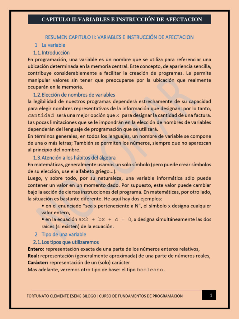 Resumen Tema 2. PROGRAMACION EN PSEINT | PDF | Variable (Matemáticas) | Variable (informática)