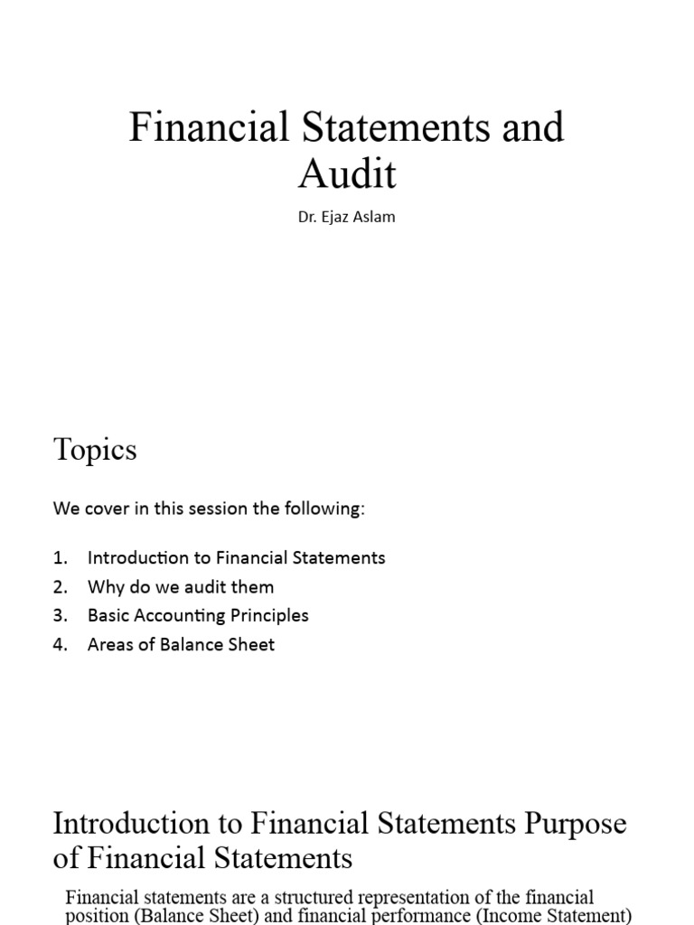 Financial Statement | PDF | Going Concern | Financial Statement