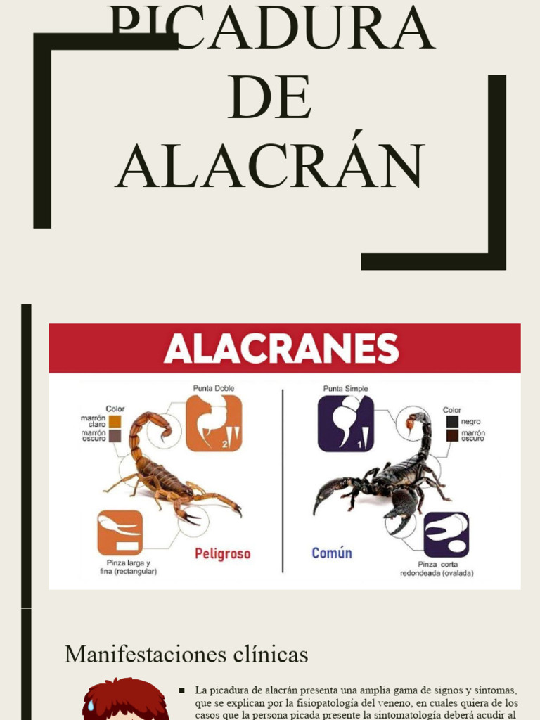 Síntomas y Tratamiento de Picadura de Alacrán | PDF | Enfermedades y ...
