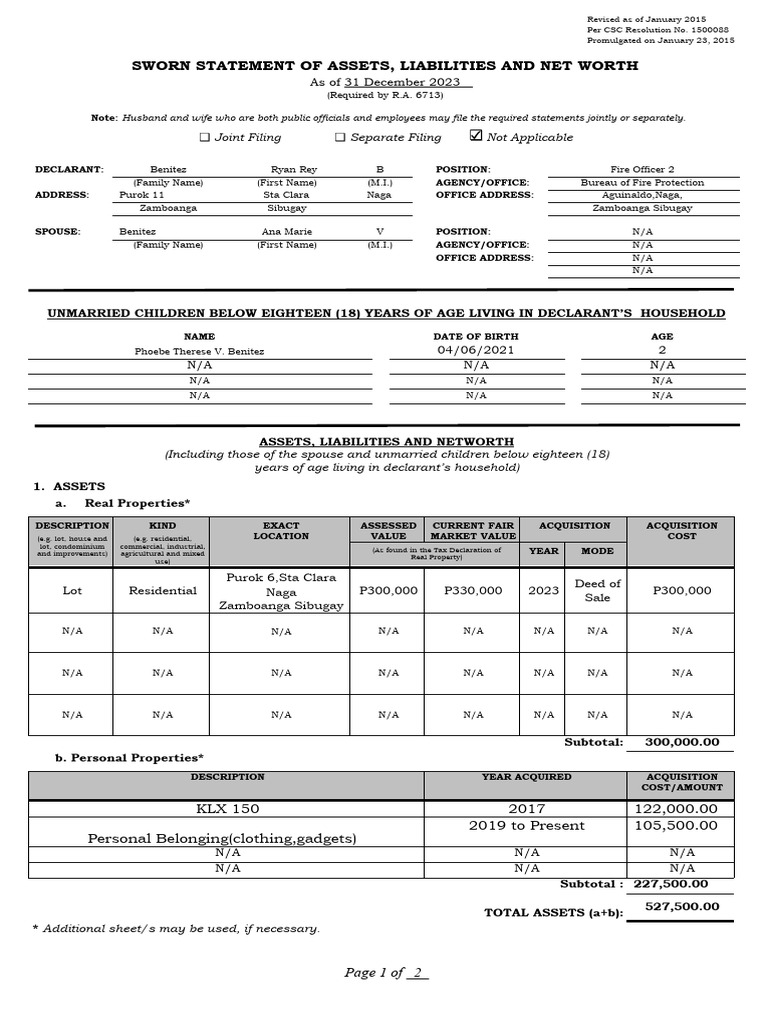 SALN Editable | PDF | Net Worth | Government