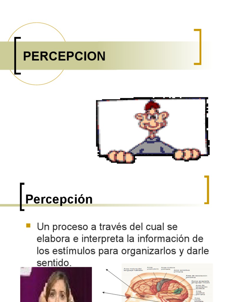 Percepcion | PDF | Percepción | Procesos mentales