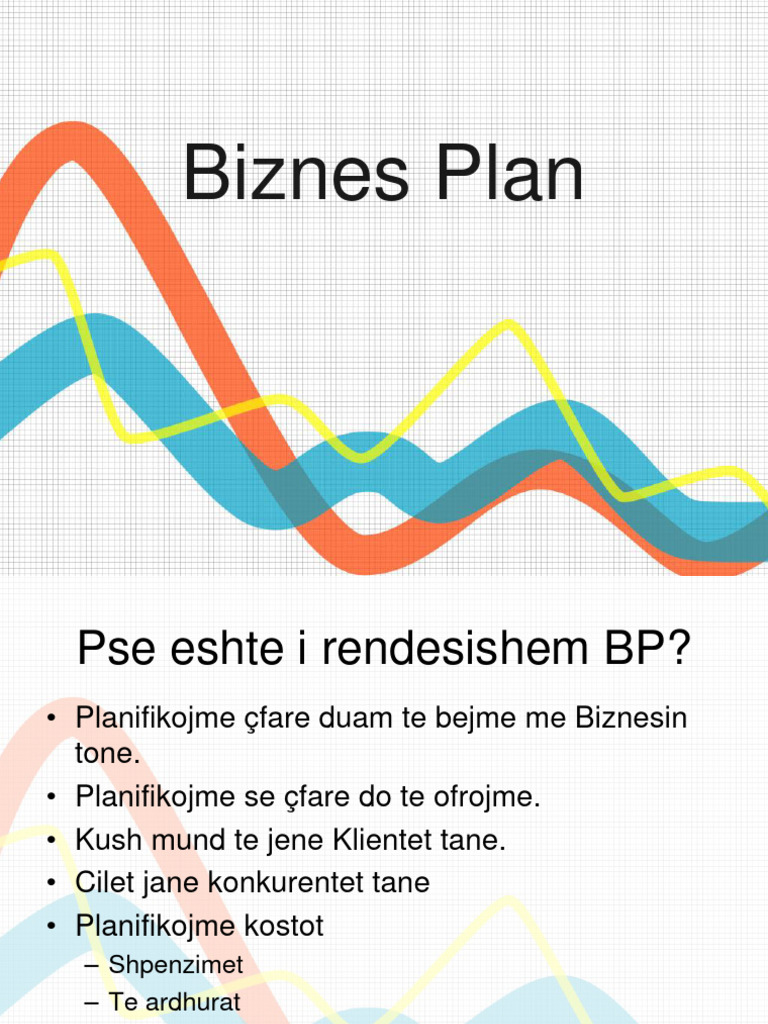5 Plan-Biznesi | PDF