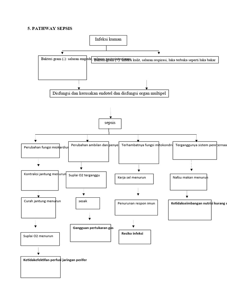 5 Pathway Sepsis | PDF