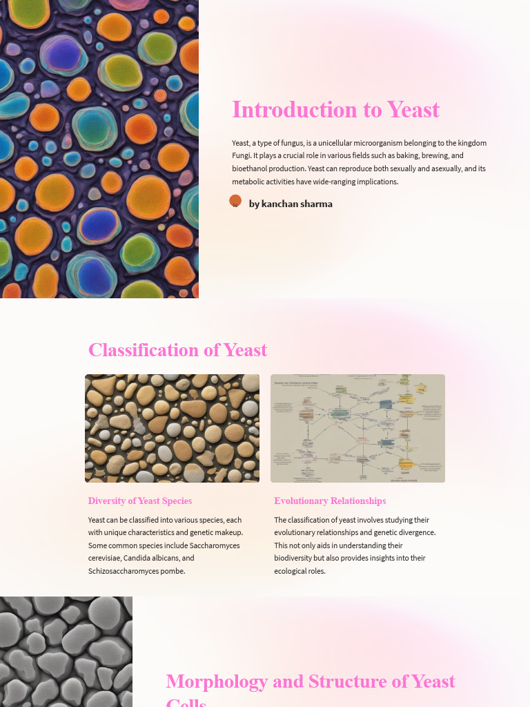 Introduction To Yeast | PDF | Endoplasmic Reticulum | Cell (Biology)