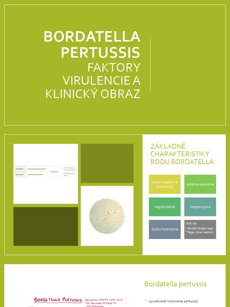 Bordatella Pertussis | PDF