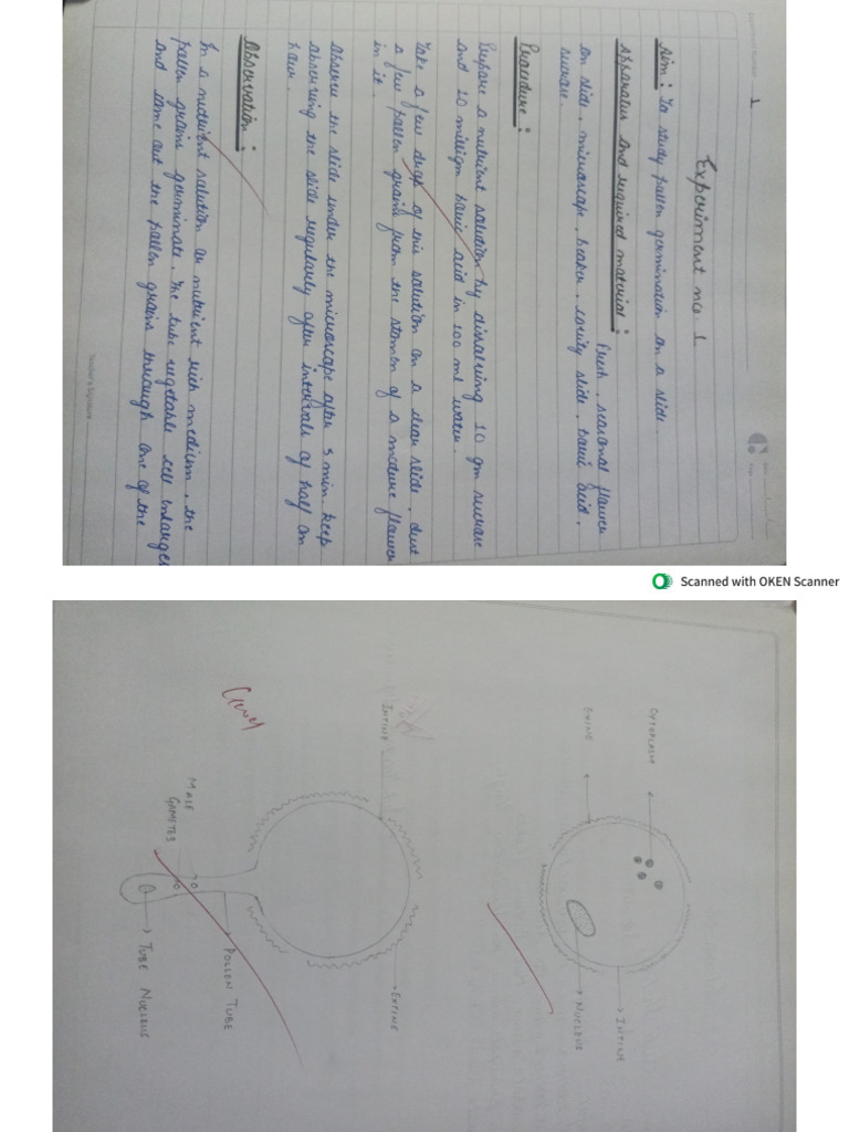 Class 12 Bio Practical | PDF