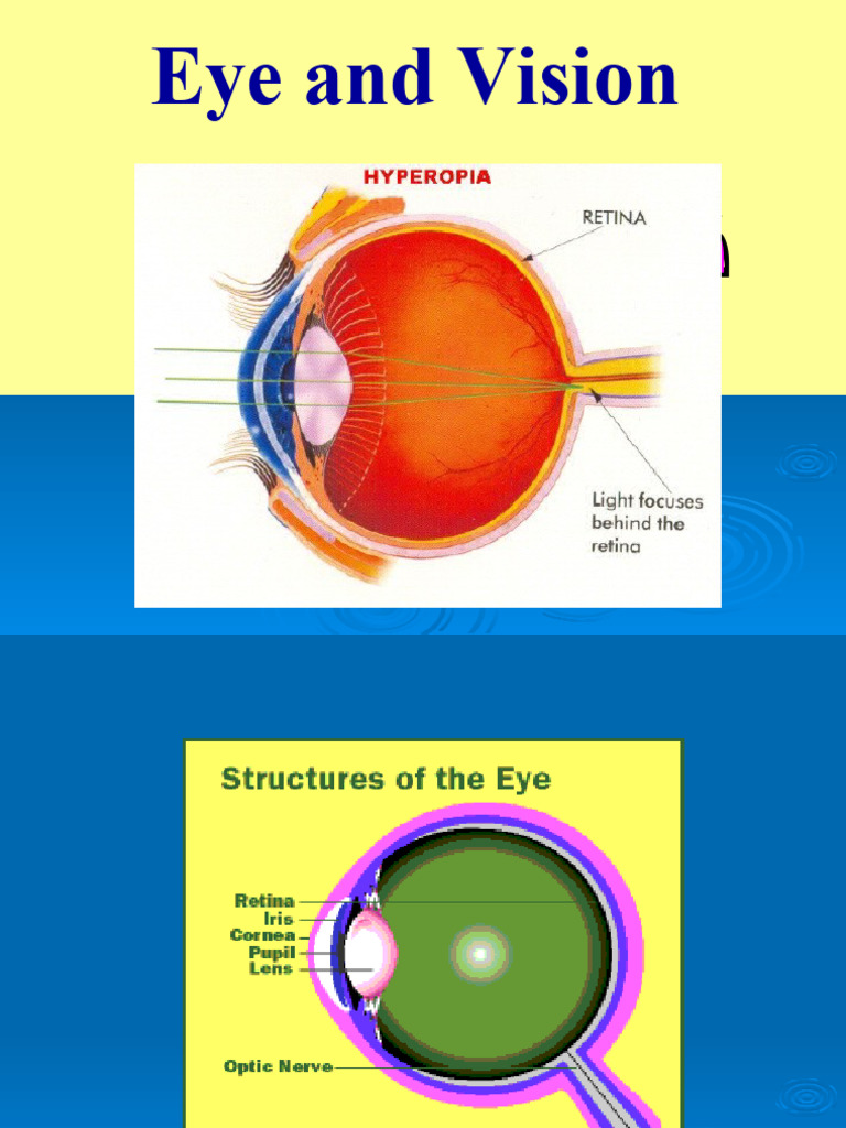 5-Eye and Vision-1 | PDF | Eye | Visual Acuity