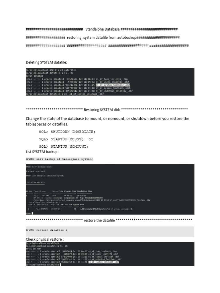 Restore System Datafile In Oracle Pdf