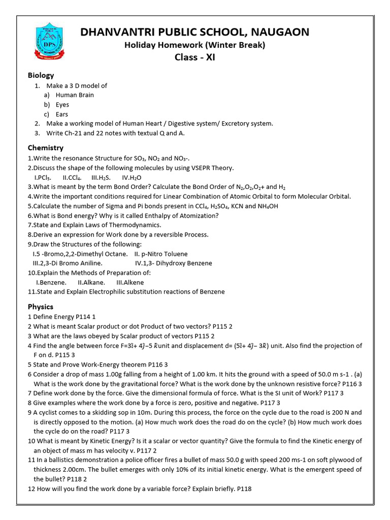 Class XI Holiday Homework | PDF | Force | Physics