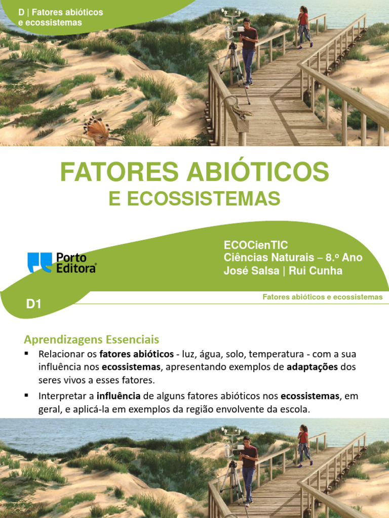 D Fatores Abioticos | PDF | Solo | Ecossistema