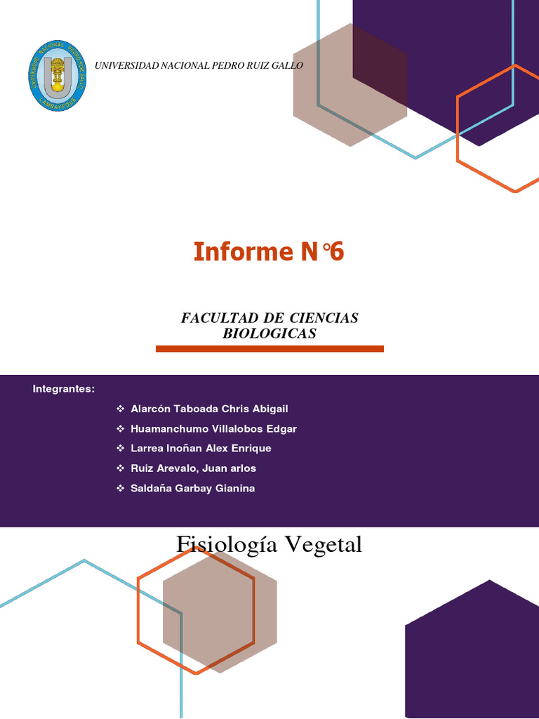 Practican°6 Fisiologia Vegetal | PDF | Raíz | Morfología Vegetal
