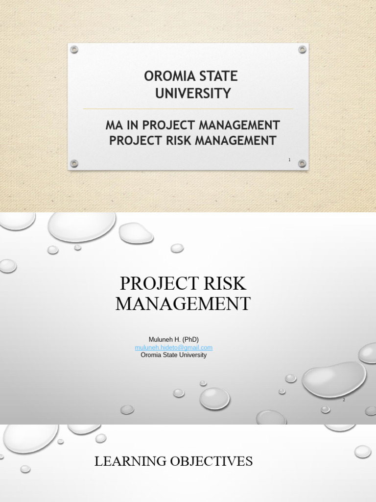 Chapter 1 - Project Risk Management | PDF | Risk | Risk Management