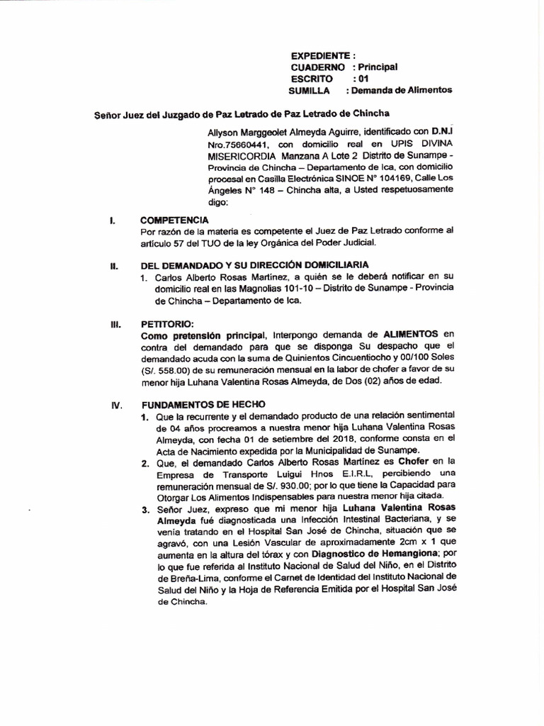 01 Demanda Allyson Almeyda | PDF