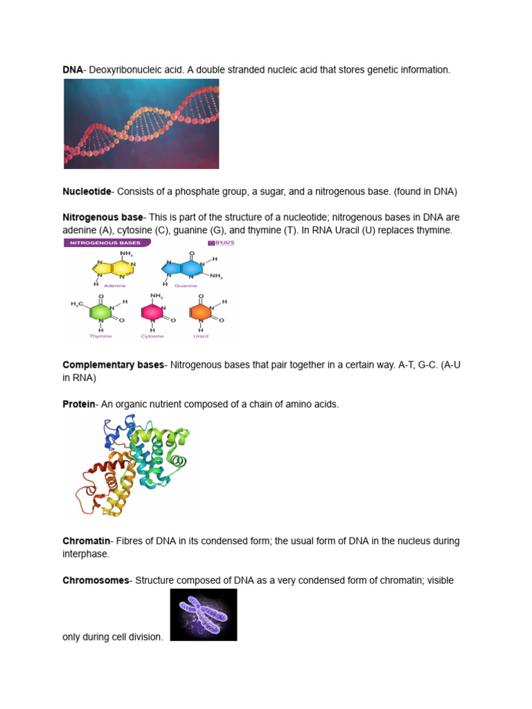 Genetics Vocabulary - Tanisha M | PDF | Dominance (Genetics) | Allele