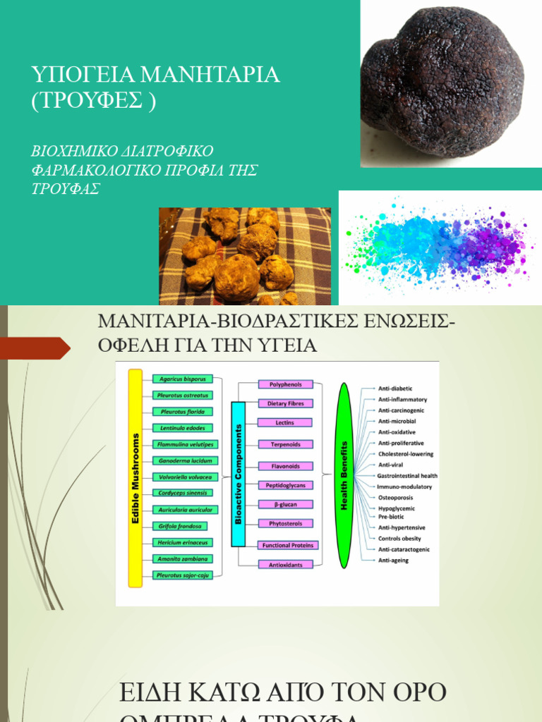 Manitaria Parousiasi 2024 Troyfes | PDF