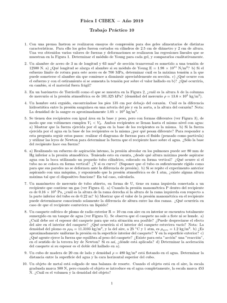 Prac10 2019 | PDF | El módulo de Young | Pascal (Unidad)