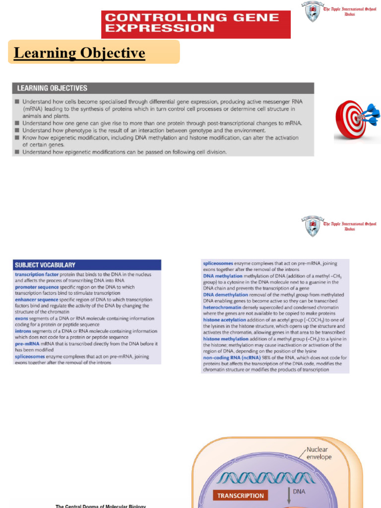 Controlling Gene Expression | PDF | Gene Expression | Rna Splicing