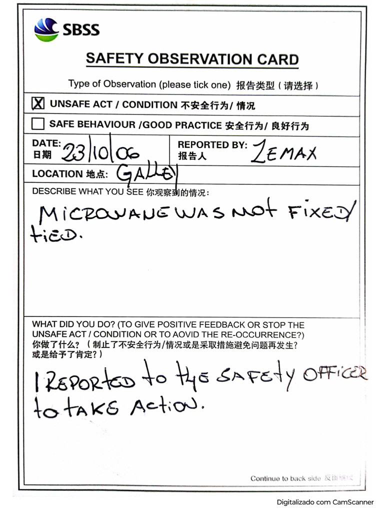 Observation Card 1 | PDF