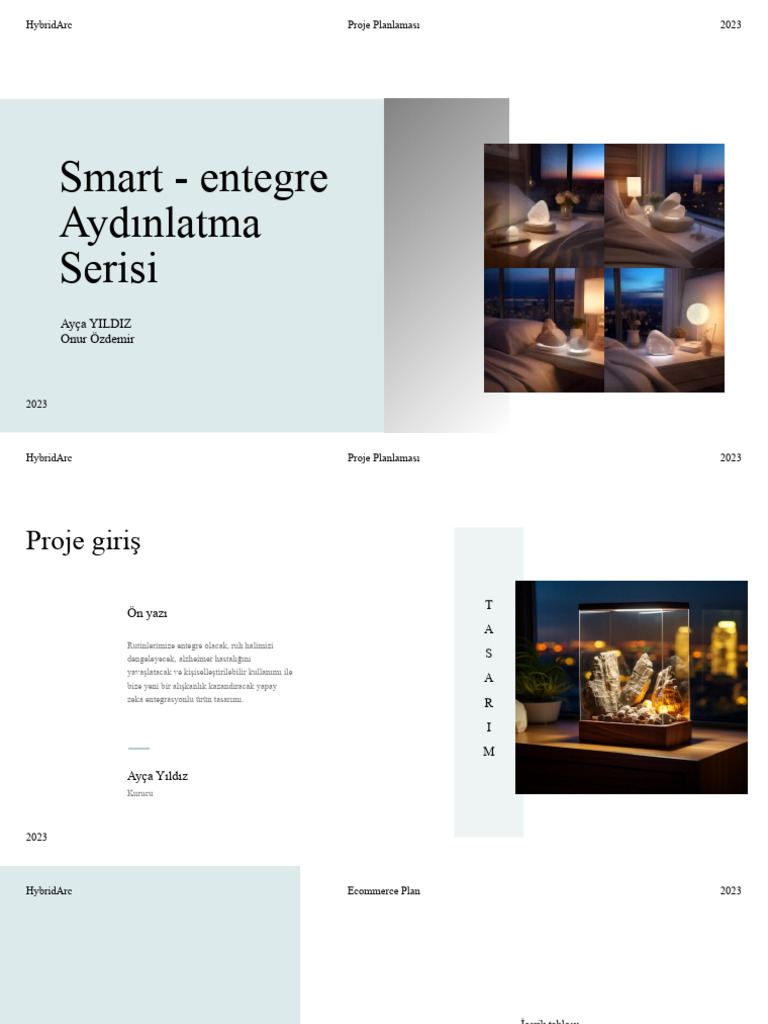 Business Template | PDF | Swot Analysis | Private Sector